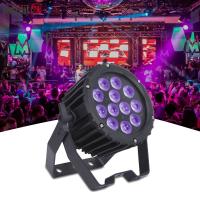 China Professional 12pcs 4in1 12x3W LED Outdoor Par Can Light Stage Lighting RGBW Aluminum Alloy DJ Wash Par Nightclub Light for sale