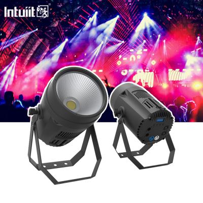 China High Power 200w RGBW COB Waterproof Par Can Spot Stage Light For Bar Disco Wedding for sale