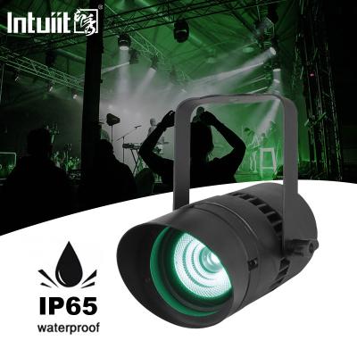 China Projector Light 15W DMX512 RGBW Narrow Beam Directional Landscape Garden Light for Hotel Banquet Yard Garden for sale
