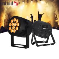 China 12x20W RGBWAUV 6in1 DMX Control LED Par Light Dj Club Stage Lights for sale