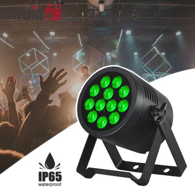 China 12x20w Stage Light Par Waterproof RGBWA UV LED Light PAR DMX IP65 Outdoor DJ Stage Show Lighting for sale