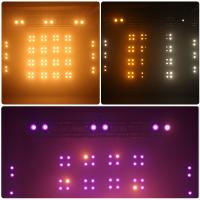 China Outdoor LED COB Blinder Light 2x90W RGB Amber Warm White IP65 Waterproof Stage Strobe Lighting DMX512 for Professional Show Theater for sale