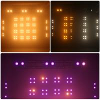 China 2 Eyes Led Blinder Light Ip65 Outdoor Audience Light DMX512 Cob Par Light 200w Spotlight for Theatre for sale