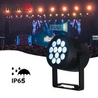 China 12x20W LED Par Light IP65 Waterproof RGBWA-UV 6IN1 DMX512 Stage Lighting for sale
