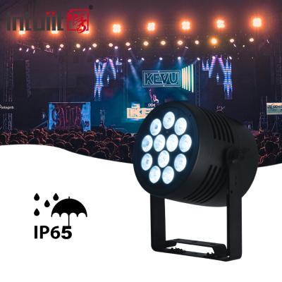 China 12x20W LED Par Light IP65 Waterproof RGBWA-UV 6IN1 DMX512 Stage Lighting for sale
