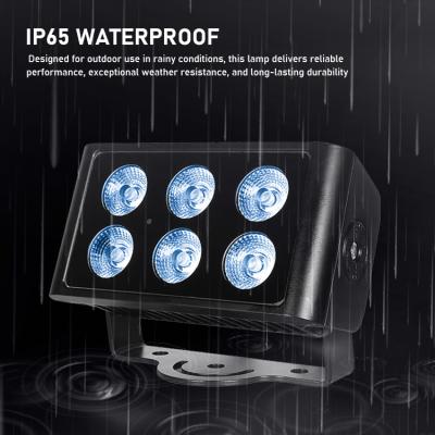 China IP65 Waterproof 6x5W LED DJ PAR Wall Washer Floodlight Aluminum Body Outdoor Lighting for City Color Decor and Building for sale