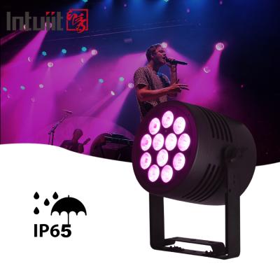 China IP65 Outdoor LED 12x20w RGBWA-UV 6in1 Event DJ Wash DMX 512 Waterproof LED Par Light for sale