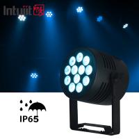 China Led Wash Par Light 12x20W RGBWA-UV 6 in 1 Flat Par Stage Led Light for Party Wedding Disco Performance Bar Event Dance for sale