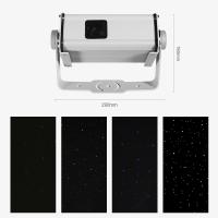 China IP65 Waterproof 13W Outdoor Firefly Effect Light Laser Projector Dynamic Twinkling Starry Sky Lamp for Park Forest Landscape Decor for sale