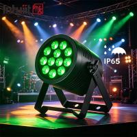 China Outdoor IP65 Waterproof 12x20W RGBWA UV 6 in 1 LED Par Light Professional DMX DJ Stage Lighting Wash Uplight for Disco Wedding Show for sale