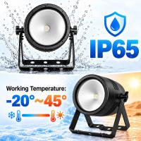 China Waterproof IP65 100W RGBL 4in1 Beam Cob Led Par Can Light for Church Theater Wedding for sale