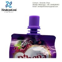 China Custom Printed Cosmetic Lotion Liquid Stand Up Plastic Pouch Packaging,Plastic Packaging Spout Bag for sale