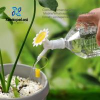 China Plastic Household Dual Head Bottle Cap Watering Spout Indoor Seedlings Plant Waterer Tool for sale