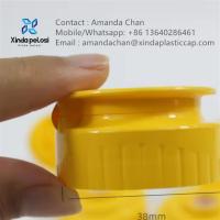 China Detergent Bottle Cap Bottle Caps Plastic Flip Top Cap For Cosmetic for sale