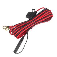 China 20AWG SAE 2-Pin Extension Cable with Wire Eyelet Lugs - Custom Lengths, CE RoHS Certified for sale