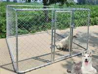 China Chain Link Steel Dog Kennel 1.5M Height Galvanized Big Size Case For Animal for sale