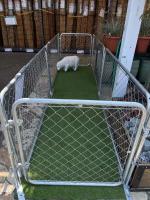 China 10' Large Animal Dog Cage Kennel Hot Dipped Galvanized Chain Link Kennel for sale