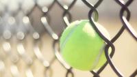 China 8 Guage Galvanized Chain Link Fence  Diamond Fence For Playground for sale