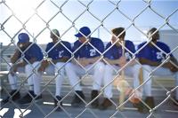 China PVC Coated / Galvanized Playground Security Fencing 8ft High Chain Link Security Fencing for sale