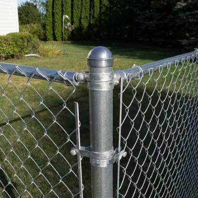 China 2.5M Woven Animal Enclosure Metal Wire Mesh Fencing White Chain Link Fence for sale