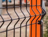 China V Mesh Security Fence 60*60mm green Fence Garden Fence PVC 3 Curved Fence for sale