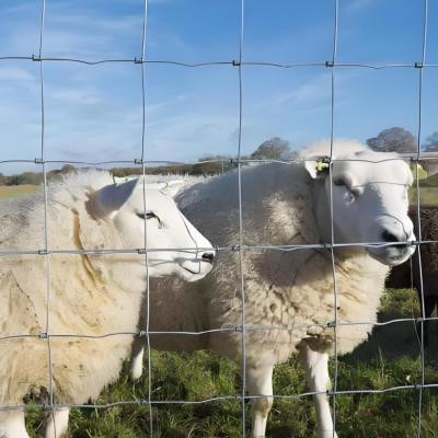China 1.5M High 100M Length Veldspan High Tensile Wire Cattle Farm Fence for sale