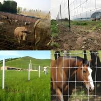 China 100M Lenght Galvanized Livestock Mesh Grassland Farm Fence for sale