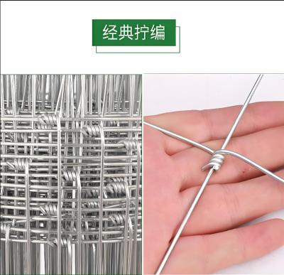China Hot Dipped Galvanized Cattle Fence Roll 6ft High Hinged Knot Farm Mesh for sale
