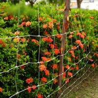 China 1.8MM Line Wire Hot-dipped Galvanized Fixed Knot South Africa Sheep Farm Fence for Animal Enclosure Fence for sale