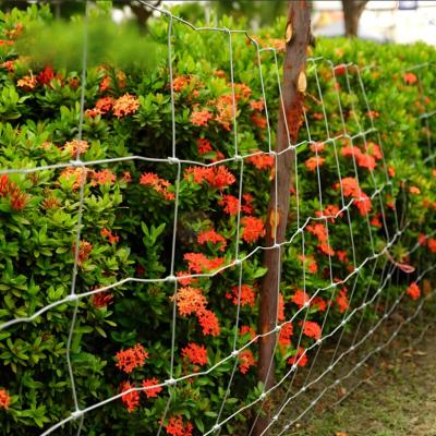China 1.8MM Line Wire Hot-dipped Galvanized Fixed Knot South Africa Sheep Farm Fence for Animal Enclosure Fence for sale