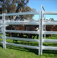 China 12 Ft Heavy Duty Galvanized Metal Round Pen Cattle Corral Farm Fence Panel for sale