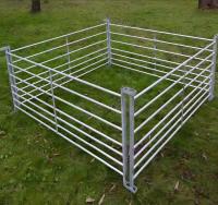 China 10 Foot Galvanized Pipe Portable Cattle Farm Fence Panel for sale