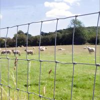 China High Tensile 2.0mm Wire Galvanized Hinge Joint Field Cattle Goat Fence for sale