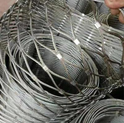 China SS304 Stainless Steel Ferrule Flexible Zoo Wire Rope Net for sale