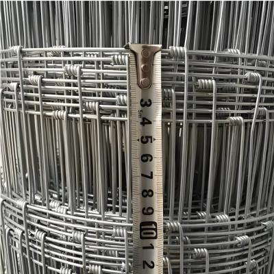 China Galvanized Hinged Joint Iron Deer Field Cattle Fence for Farm Fencing for sale