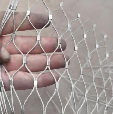 China Diamond Shape 304/316 SS Wire 7x9 Mesh Hole Stainless Steel Wire Rope Mesh for Aviary and Zoo Fence for sale