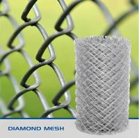 China Hot Dipped Galvanized 50x50mm Diamond Chain Link Fence Roll for Agricultural Use for sale