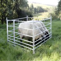 China 6Rails Heavy Duty Galvanized Livestock Cattle Panel Corral Panels for sale