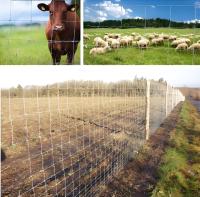 China Hot-dipped Galvanized Cattle Farm Fence with Fixed Knot and 1.5m Height for Livestock Protection for sale