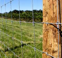China 2.0mm High Tensile Wire Galvanized Fixed Knot Cattle Farm Fence Roll 50m Length for Ranch for sale