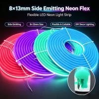 China 8×13mm 12V Color Silicone LED Neon Flex, Waterproof Flexible Linear Strip, Cuttable 1LED / 3LED, for Sign Letter, Outdoor Wedding Atmosphere Decor for sale