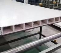 China Color Steel Plate Glass Magnesium Board Fireproof Insulation Hollow Purification for sale