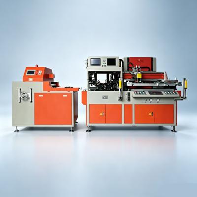 China Fully Automatic CCD Vision Screen Printer High Precision Silk Screen Printing Machine for PCB for sale