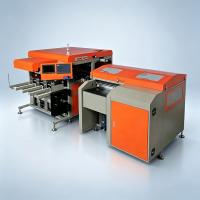 China Automatic 4-Axis PCB Punching Machine Robot Arm with CCD Vision for Loading & Unloading for sale