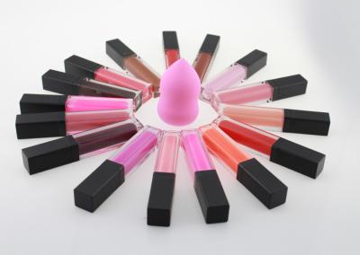 China Makeup Cosmetics Long Lasting Liquid Lip Gloss 24 Color Matte Finish Lipstick for sale