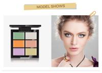 China Makeup Cosmetics Private Label Custom Cheap 6 Color Contour Concealer for sale