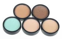 China Nice dermacol makeup Single Face Makeup Concealer Palette With 5 Different Types for sale