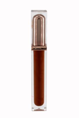 China Female Brown Covergirl Lip Gloss Glossy Type 8ML With Logo OEM ODM for sale