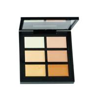 China Long Lasting Powder Concealer For Dark Skin , Makeup Foundation Concealer Palette for sale