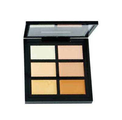 China Long Lasting Powder Concealer For Dark Skin , Makeup Foundation Concealer Palette for sale